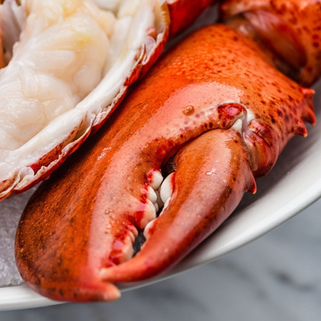 Lobster Claws & Arms, Wild – Gimli Fish Market